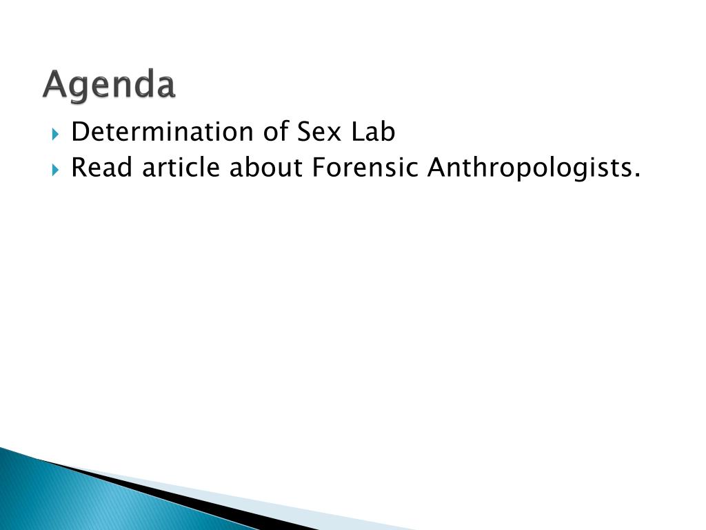 Ppt Sex Determination Lab Powerpoint Presentation Free Download Id