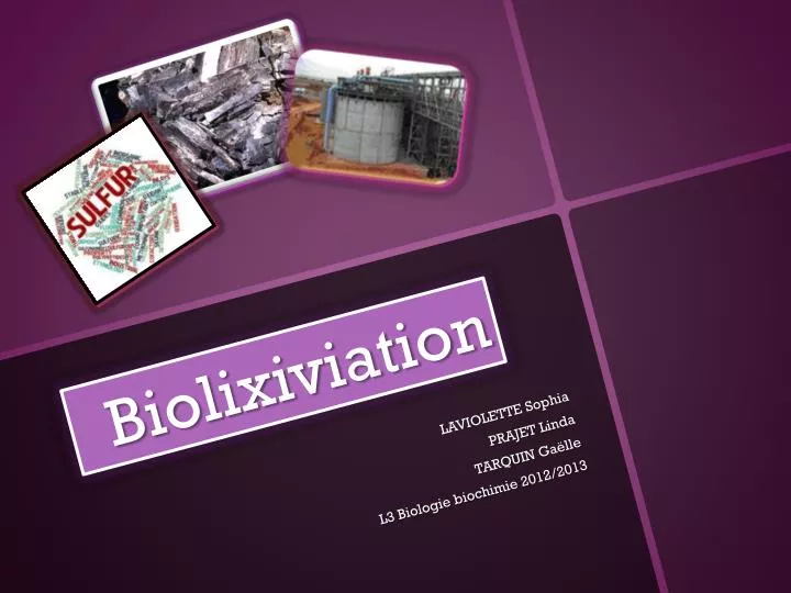 PPT - Biolixiviation PowerPoint Presentation, free download - ID:2650252
