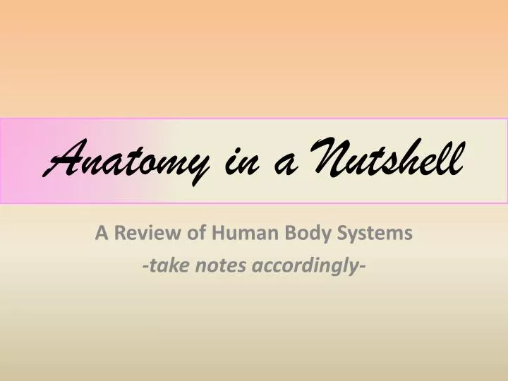 PPT - Anatomy in a Nutshell PowerPoint Presentation, free download - ID ...