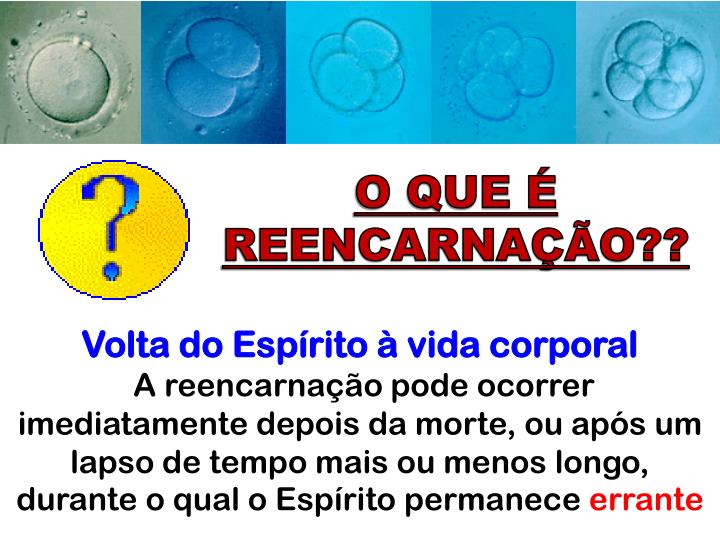 PPT - O QUE É REENCARNAÇÃO?? PowerPoint Presentation - ID:2650510
