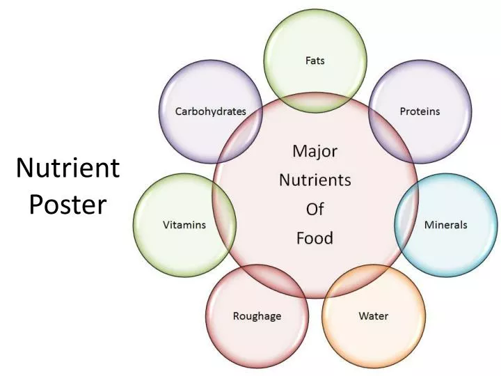 PPT - Nutrient Poster PowerPoint Presentation, free download - ID:2650523