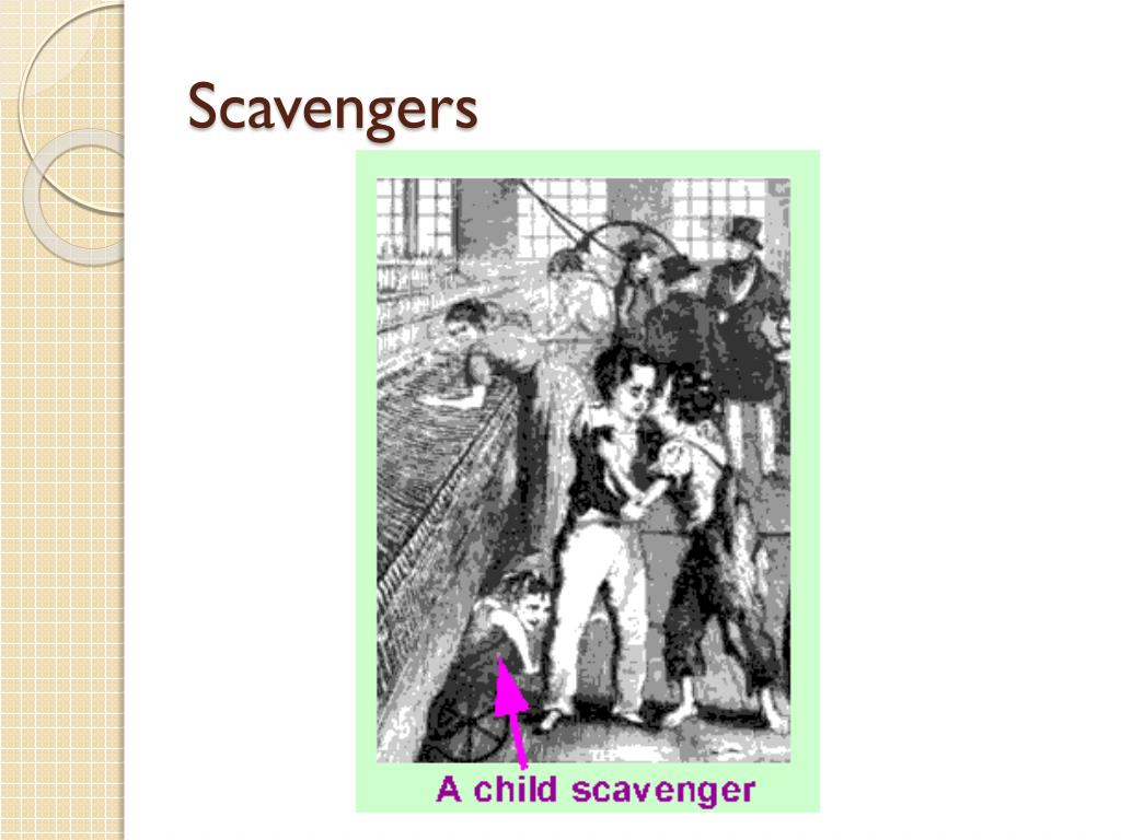 PPT - Child Labor During the Industrial Revolution PowerPoint ...