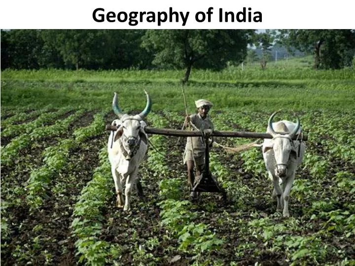 PPT - Geography of India PowerPoint Presentation, free download - ID ...