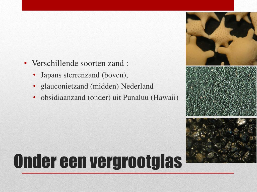 PPT - voetsporenonderzoek PowerPoint Presentation, free download - ID ...