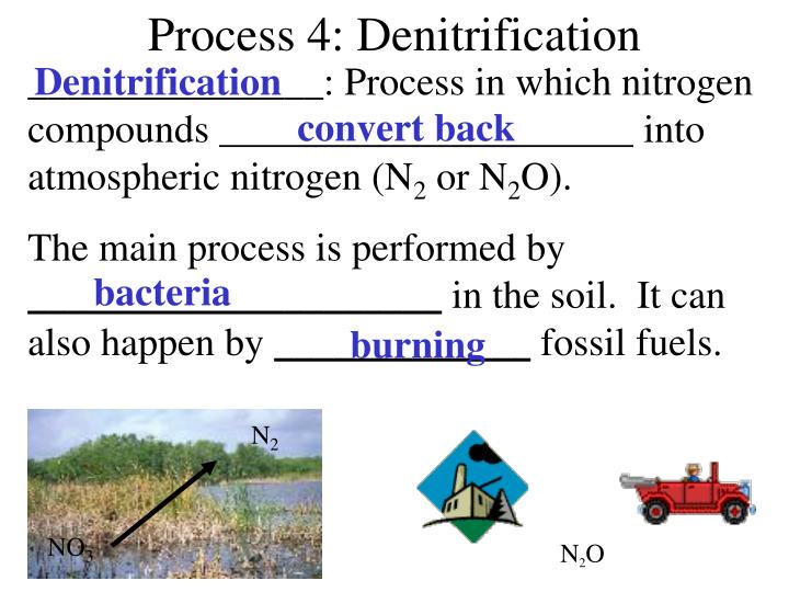 PPT - What is Nitrogen ? PowerPoint Presentation - ID:2654098