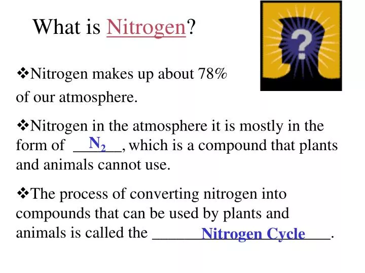 PPT - What is Nitrogen ? PowerPoint Presentation, free download - ID ...
