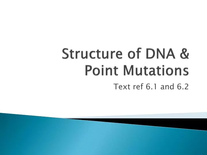 PPT - Structure of DNA & Point Mutations PowerPoint Presentation, free ...