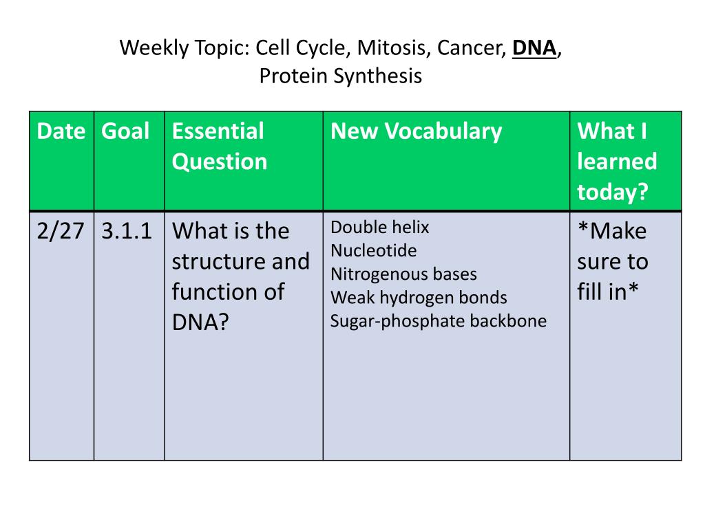 PPT - Weekly Topic: Cell Cycle, Mitosis, Cancer , DNA, Protein ...