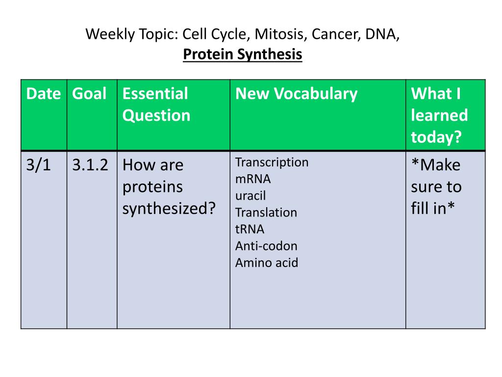 PPT - Weekly Topic: Cell Cycle, Mitosis, Cancer , DNA, Protein ...
