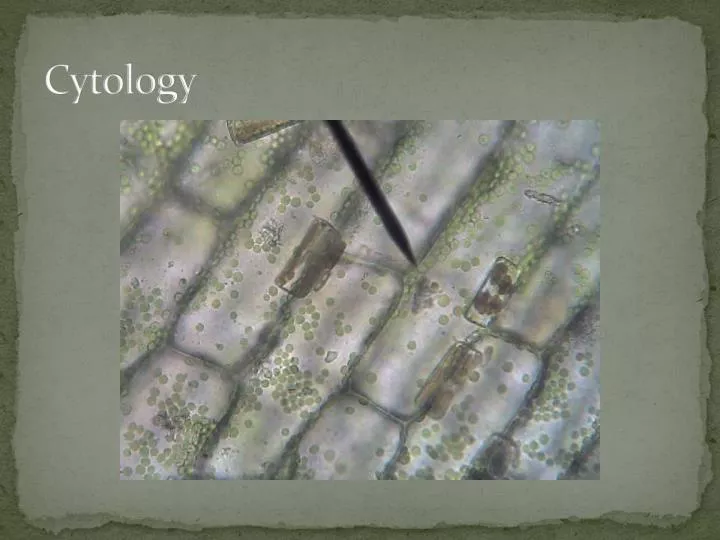 PPT - Cytology PowerPoint Presentation, free download - ID:2654305