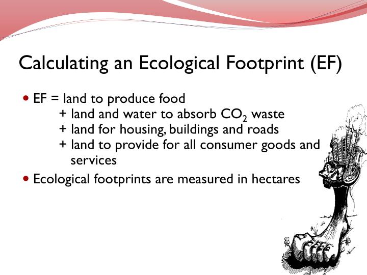 PPT - ECOLOGICAL FOOTPRINTS PowerPoint Presentation - ID:2654370