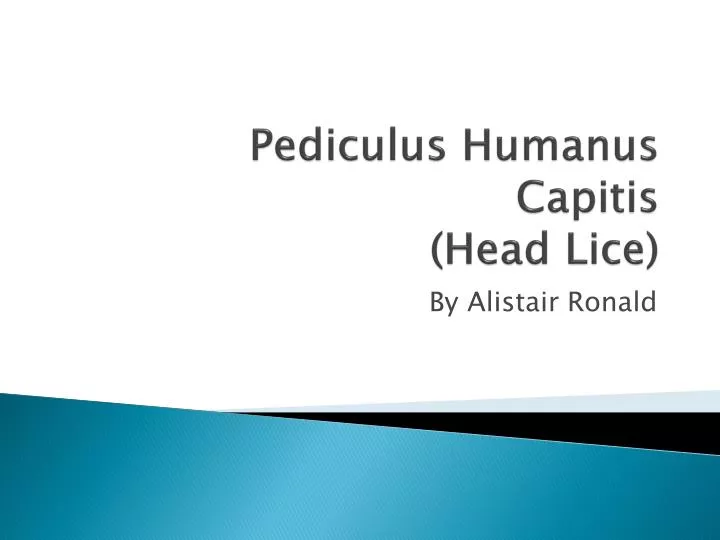 PPT - Pediculus Humanus Capitis (Head Lice) PowerPoint Presentation ...