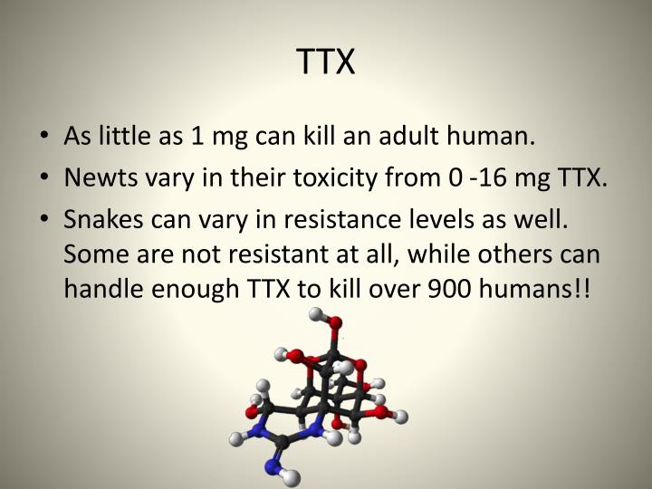 PPT - Tetrodotoxin PowerPoint Presentation - ID:2655304