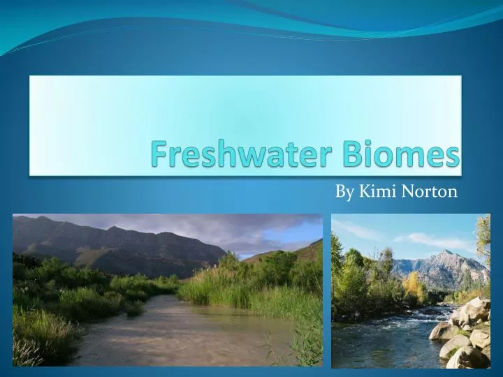 PPT - Freshwater Biomes PowerPoint Presentation, free download - ID:2655554