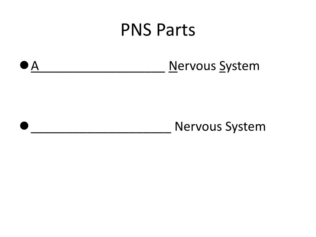 PPT - NERVOUS SYSTEM PowerPoint Presentation, free download - ID:2656623
