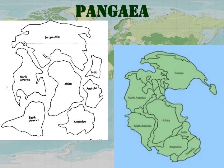 PPT - Chapter 1 PowerPoint Presentation - ID:2656652