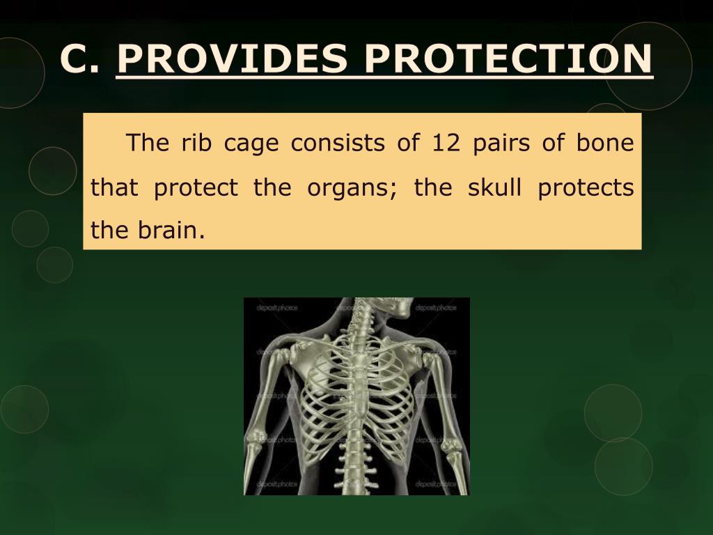 PPT - Human Biology and Health Chapter One ‘ Bones, Muscles, and Skin ...