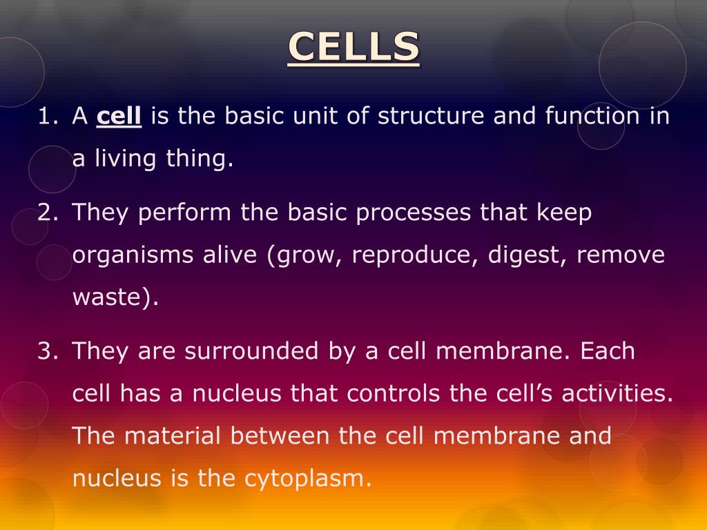 PPT - Human Biology and Health Chapter One ‘ Bones, Muscles, and Skin ...