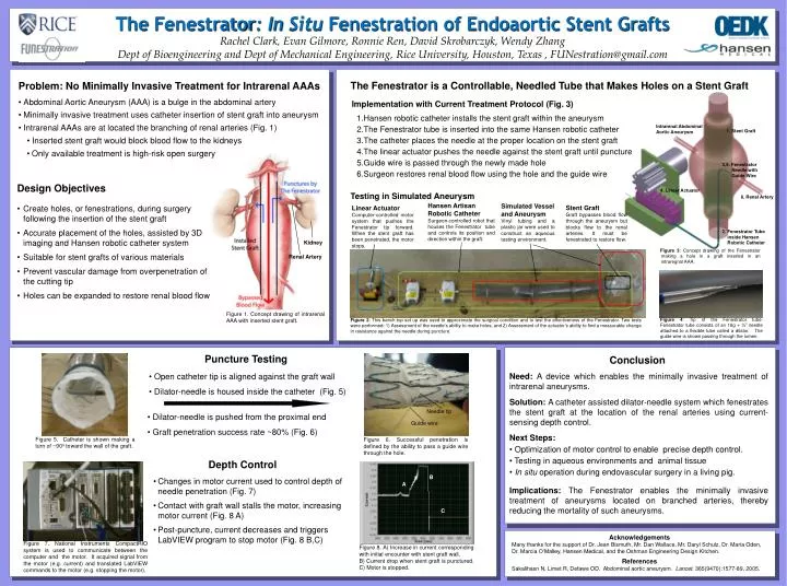 PPT - The Fenestrator : In Situ Fenestration of Endoaortic Stent Grafts ...