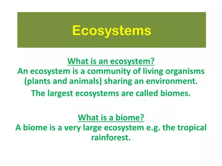PPT - Ecosystems PowerPoint Presentation, free download - ID:2657502