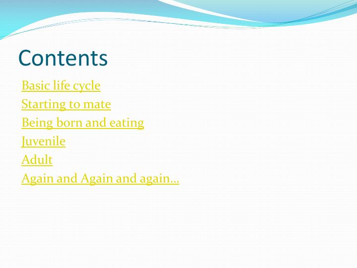 PPT - Orangutan How they live PowerPoint Presentation - ID:2659825