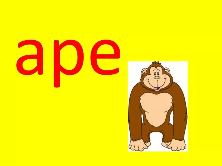 PPT - ape PowerPoint Presentation, free download - ID:2660534