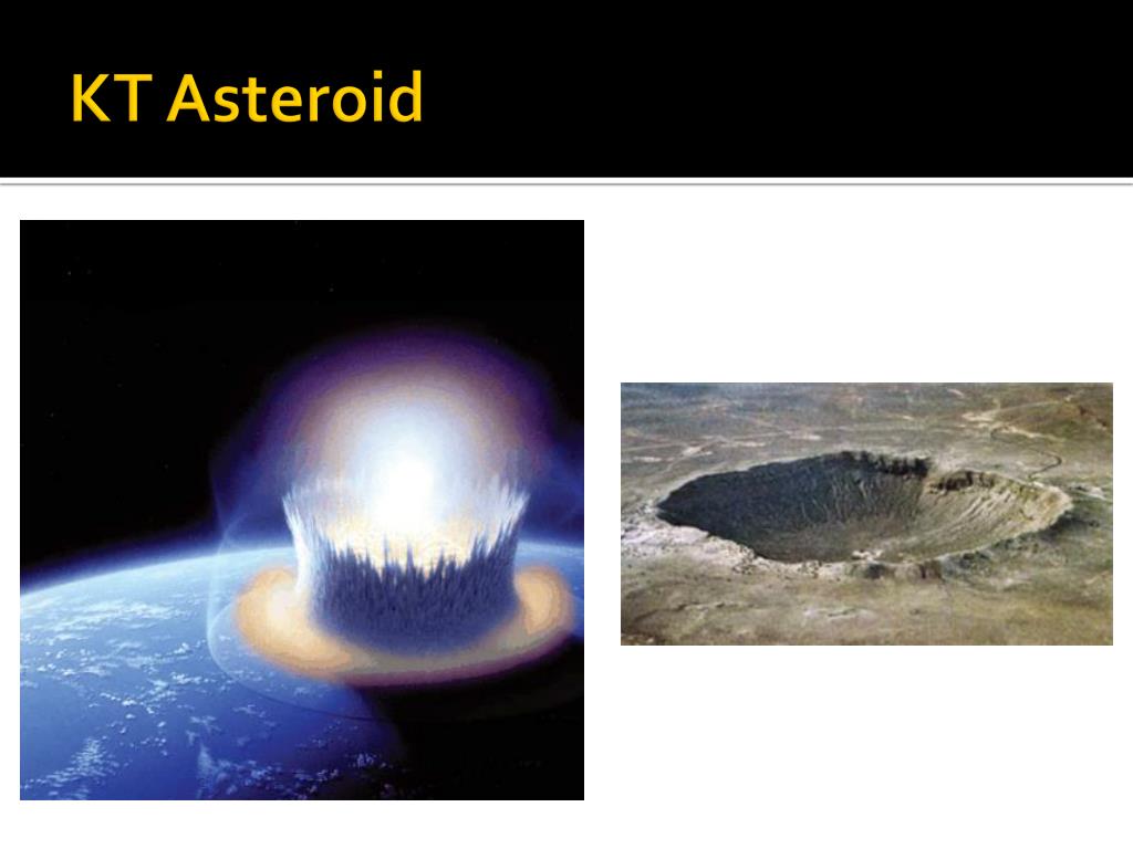 PPT - Outcome: Human Origins in Africa PowerPoint Presentation, free ...