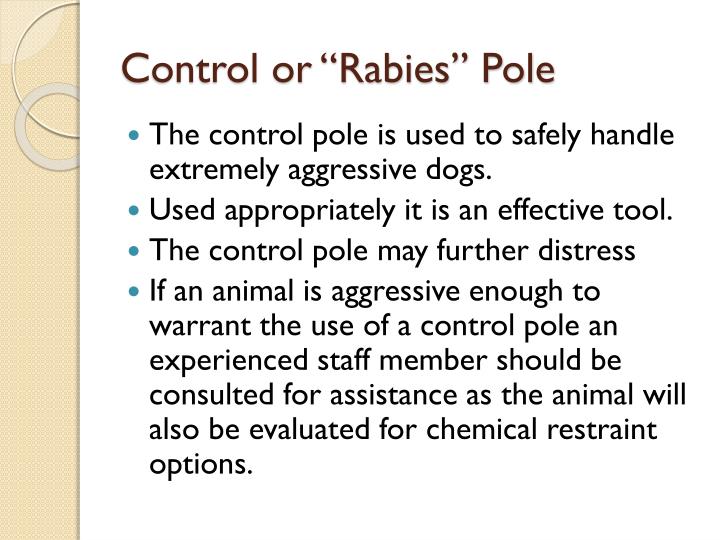 PPT - Small Animal Restraint PowerPoint Presentation - ID:2663930