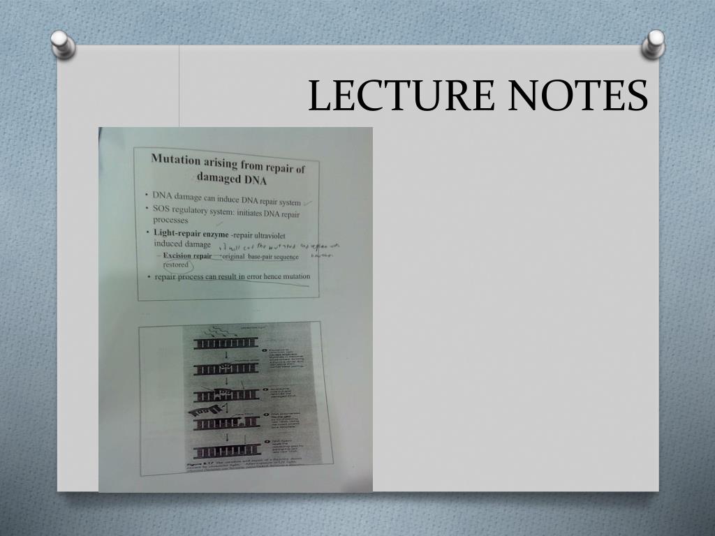 PPT - GENETICS PowerPoint Presentation, free download - ID:2664861