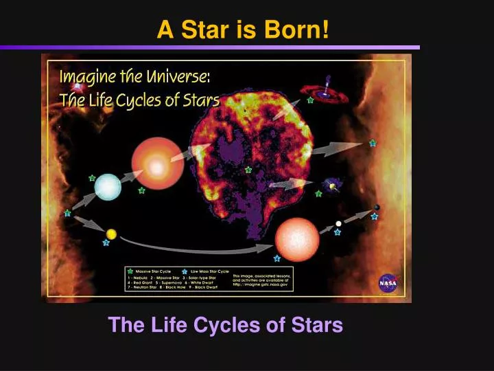 PPT - A Star is Born! PowerPoint Presentation, free download - ID:2665878