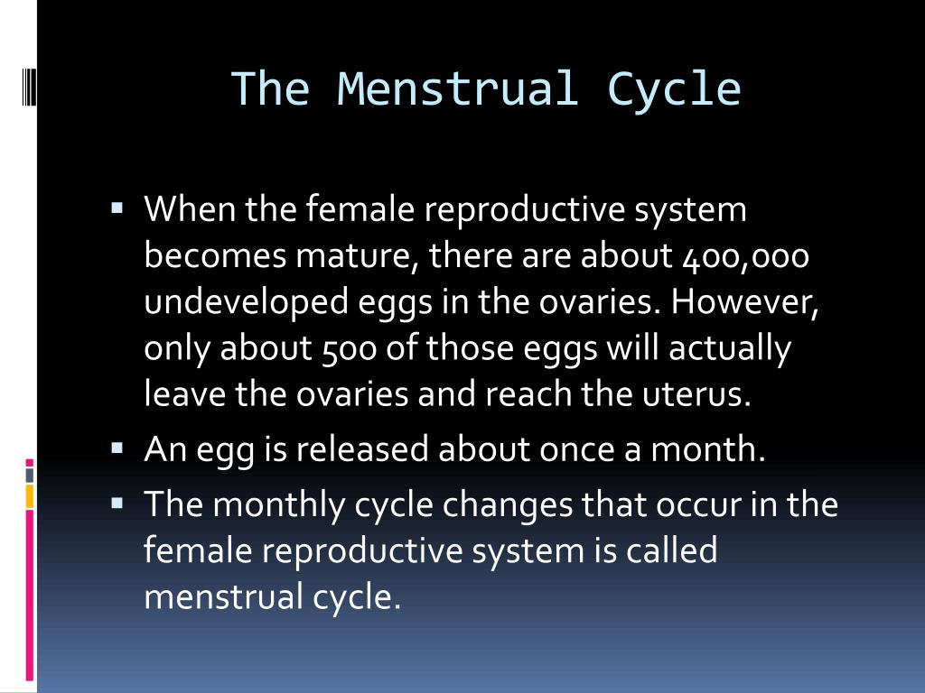 PPT - Human Reproductive Systems: Male & Female Anatomy and Functions ...