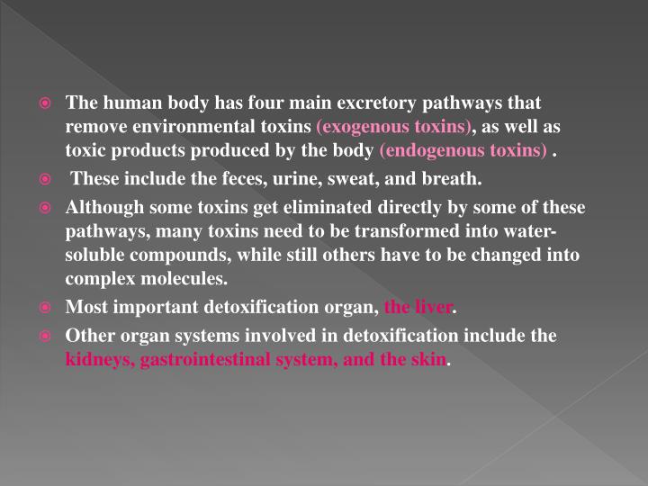 PPT - Mechanisms of Detoxification in Human Body PowerPoint ...