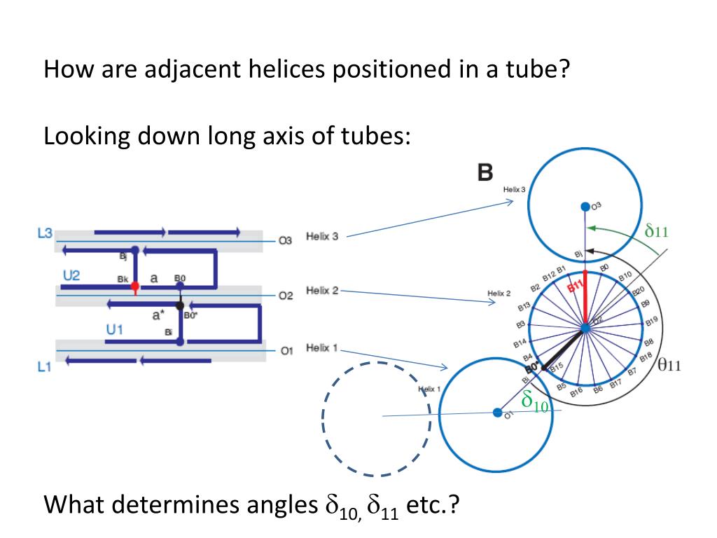 PPT - Playing with DNA as nanoscale construction material – engineers ...