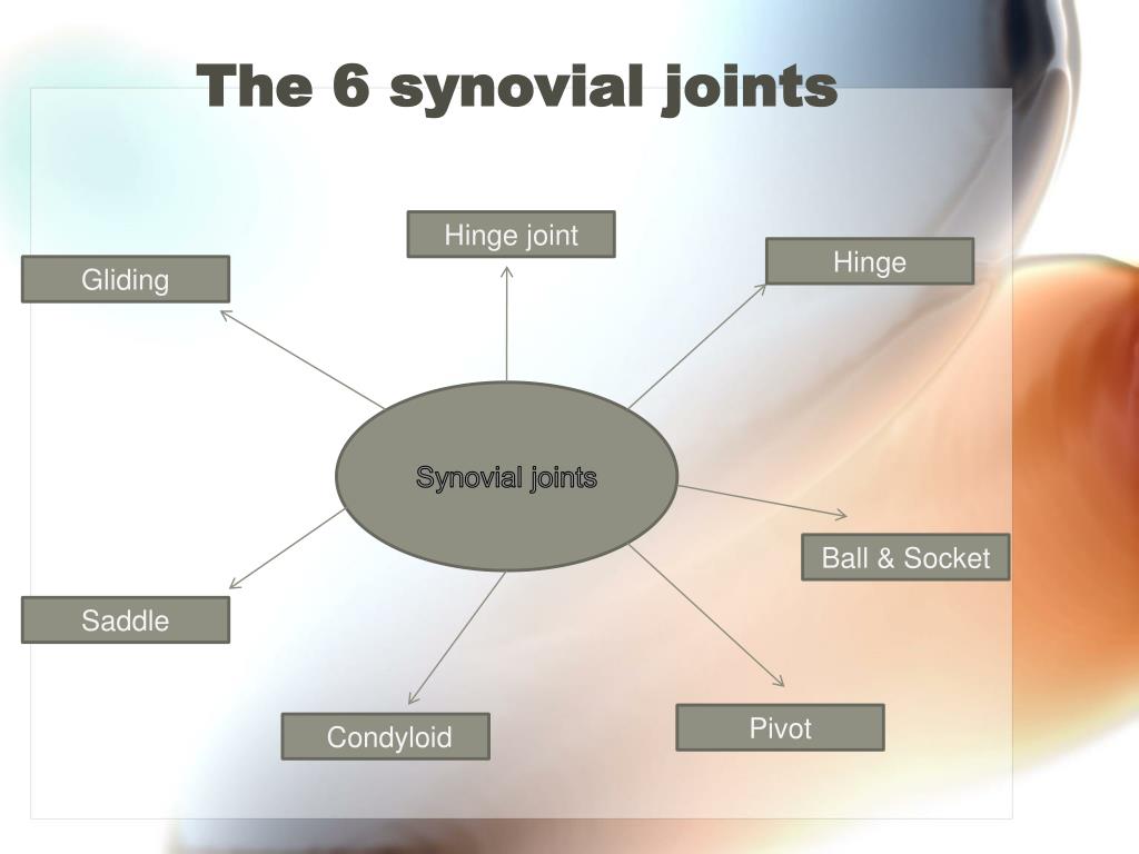 PPT - BTEC 1 st Dip Sport Anatomy and Fitness Training PowerPoint ...