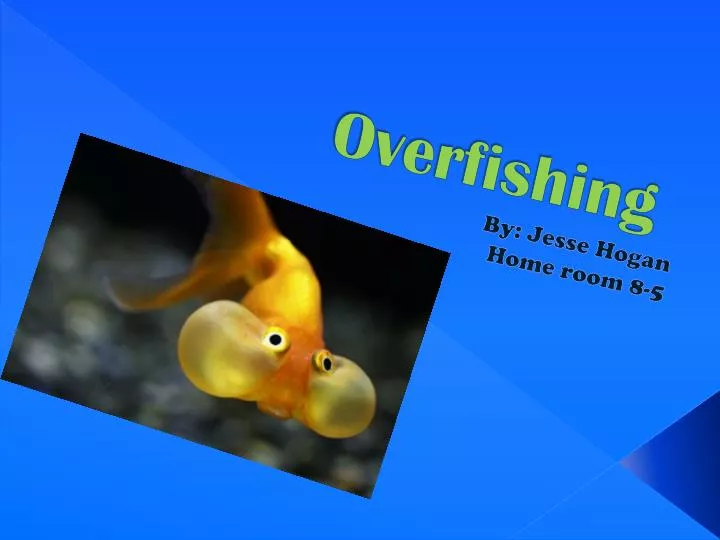 PPT - Overfishing PowerPoint Presentation, free download - ID:2668025
