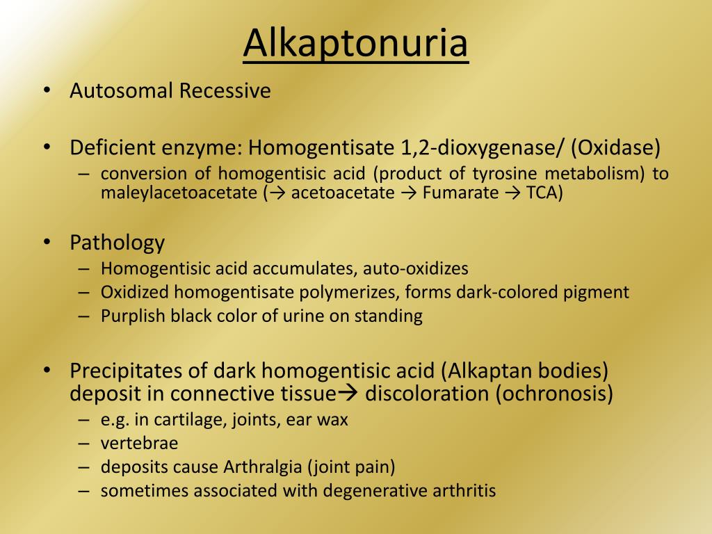 PPT - Amino acid metabolism 1 PowerPoint Presentation, free download ...