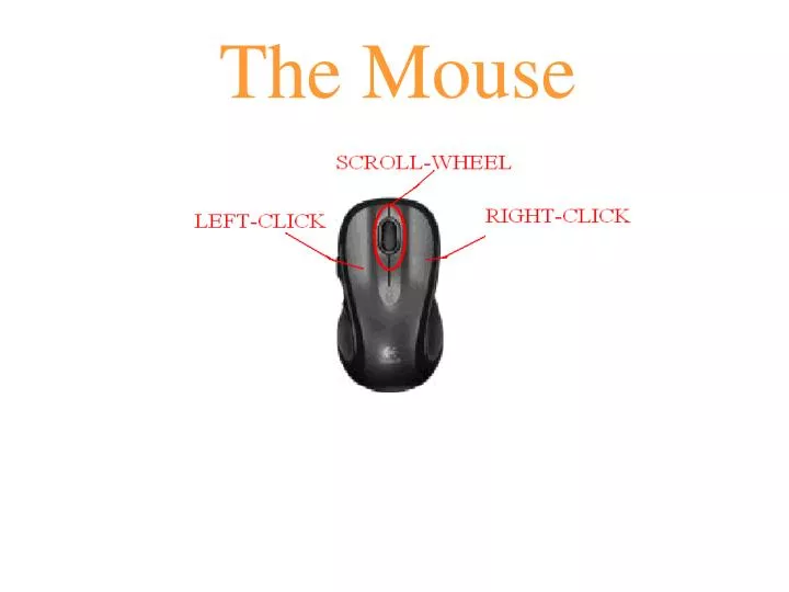 PPT - The Mouse PowerPoint Presentation, free download - ID:2668235