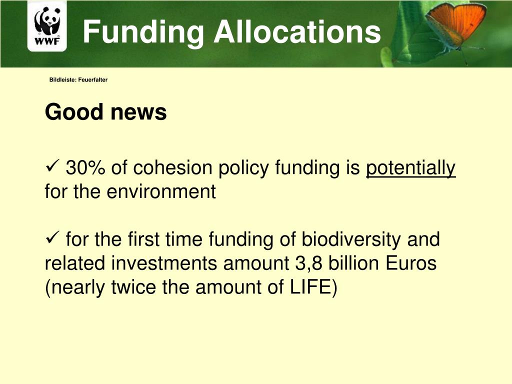PPT - Country case studies: Cohesion Policy Funding PowerPoint ...