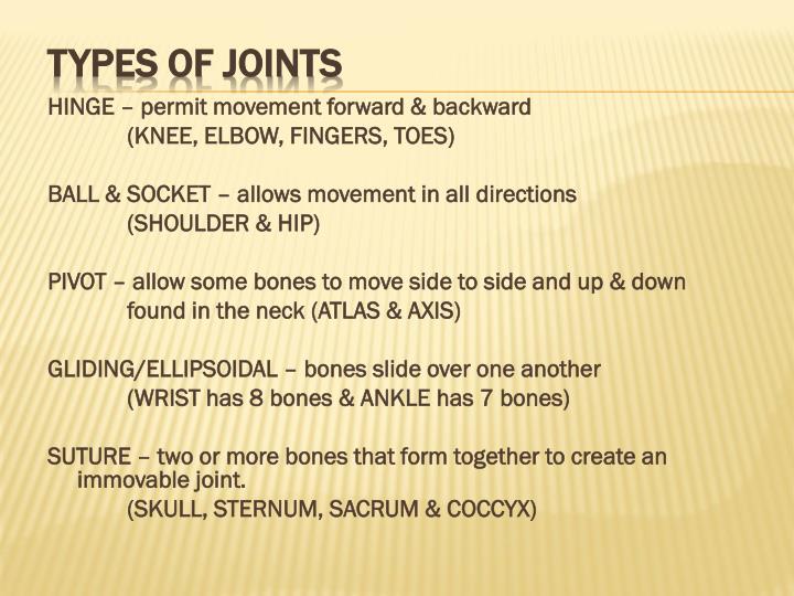 PPT - SKELETAL & MUSCULAR SYSTEMS PowerPoint Presentation - ID:2669812