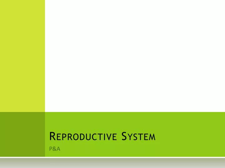 PPT - Reproductive System PowerPoint Presentation, free download - ID ...