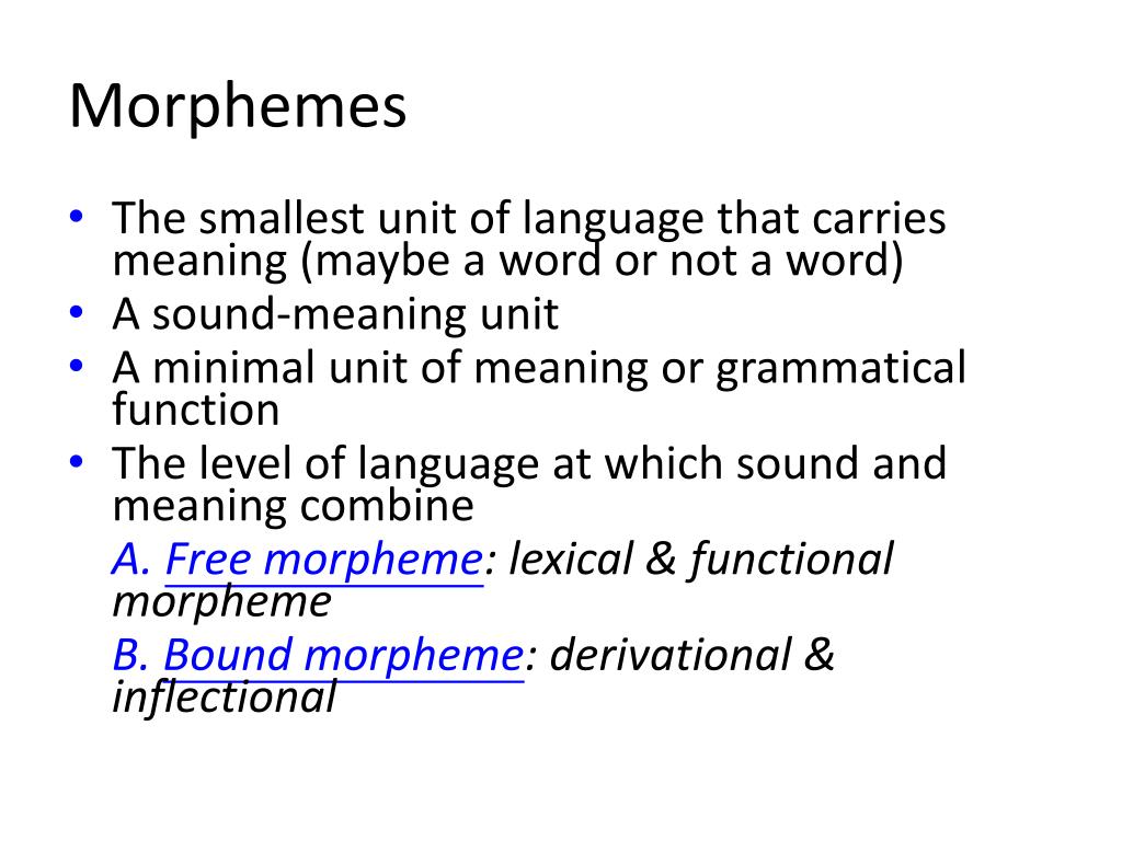 PPT - Morphology Tita Ratna Wulan Dari PowerPoint Presentation, free ...