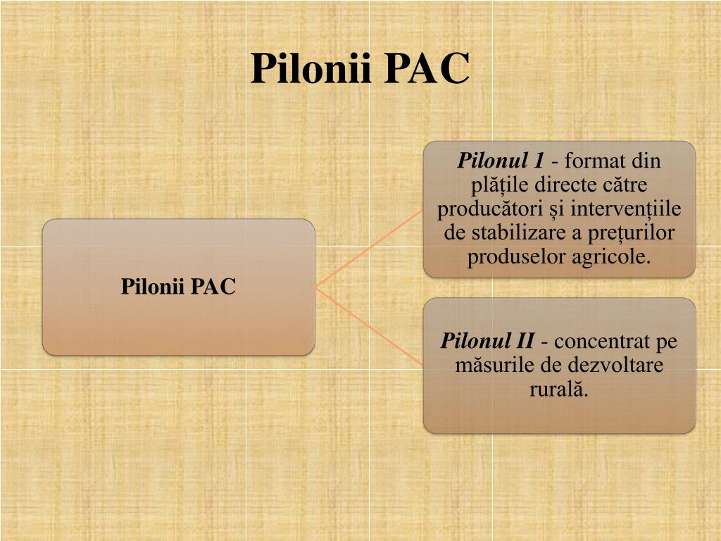 PPT - Politica Agricolă Comună PowerPoint Presentation, free download ...