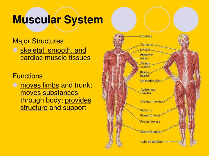 PPT - Getting Ready for TAKS!!! PowerPoint Presentation - ID:2671458