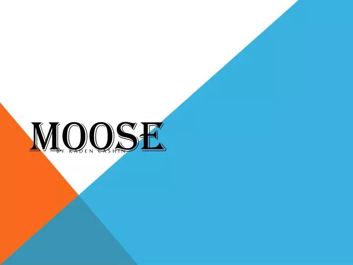 PPT - M oose PowerPoint Presentation, free download - ID:2671463