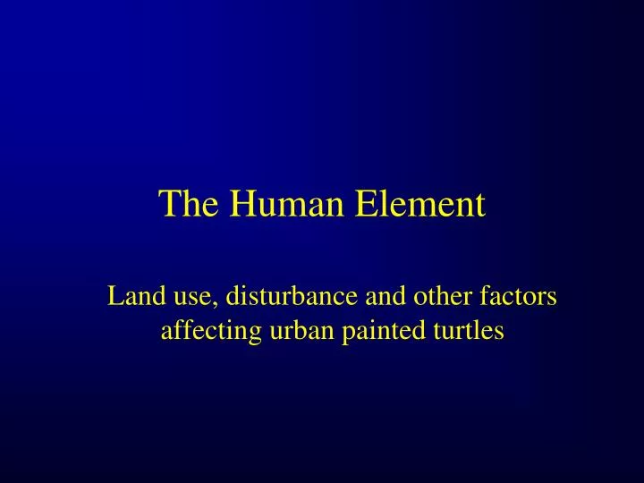 PPT - The Human Element PowerPoint Presentation, free download - ID:2672387