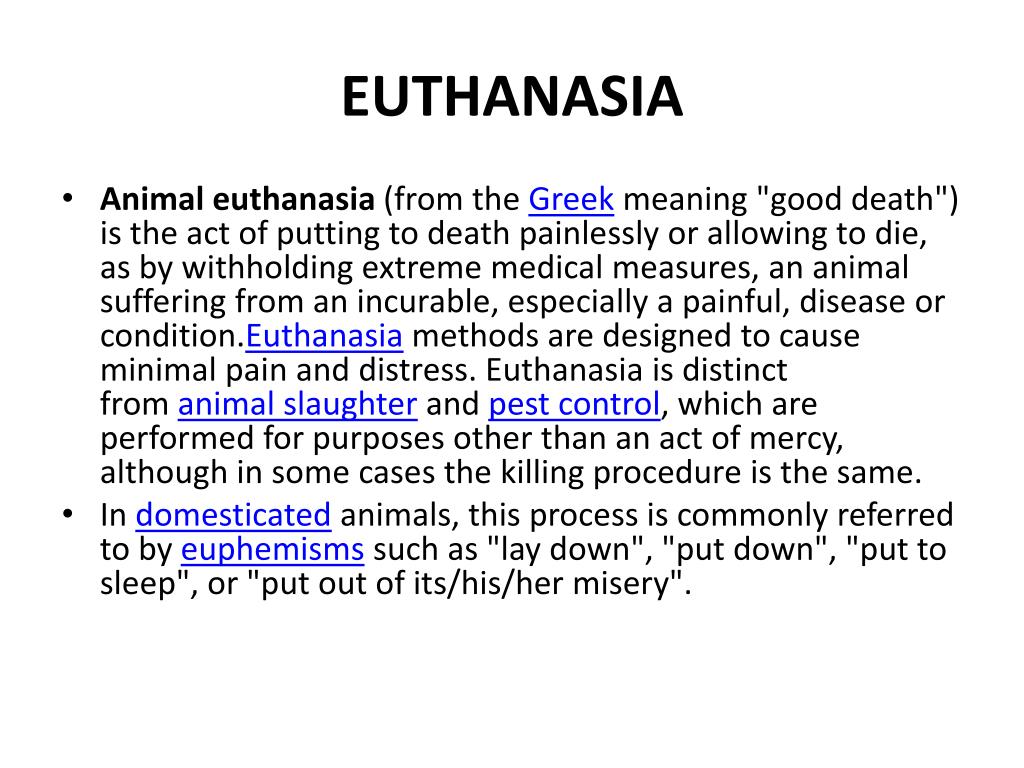 PPT - Principles of Veterinary Medical Ethics of the AVMA PowerPoint ...