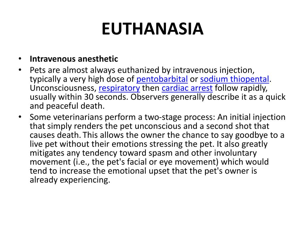 PPT - Principles of Veterinary Medical Ethics of the AVMA PowerPoint ...