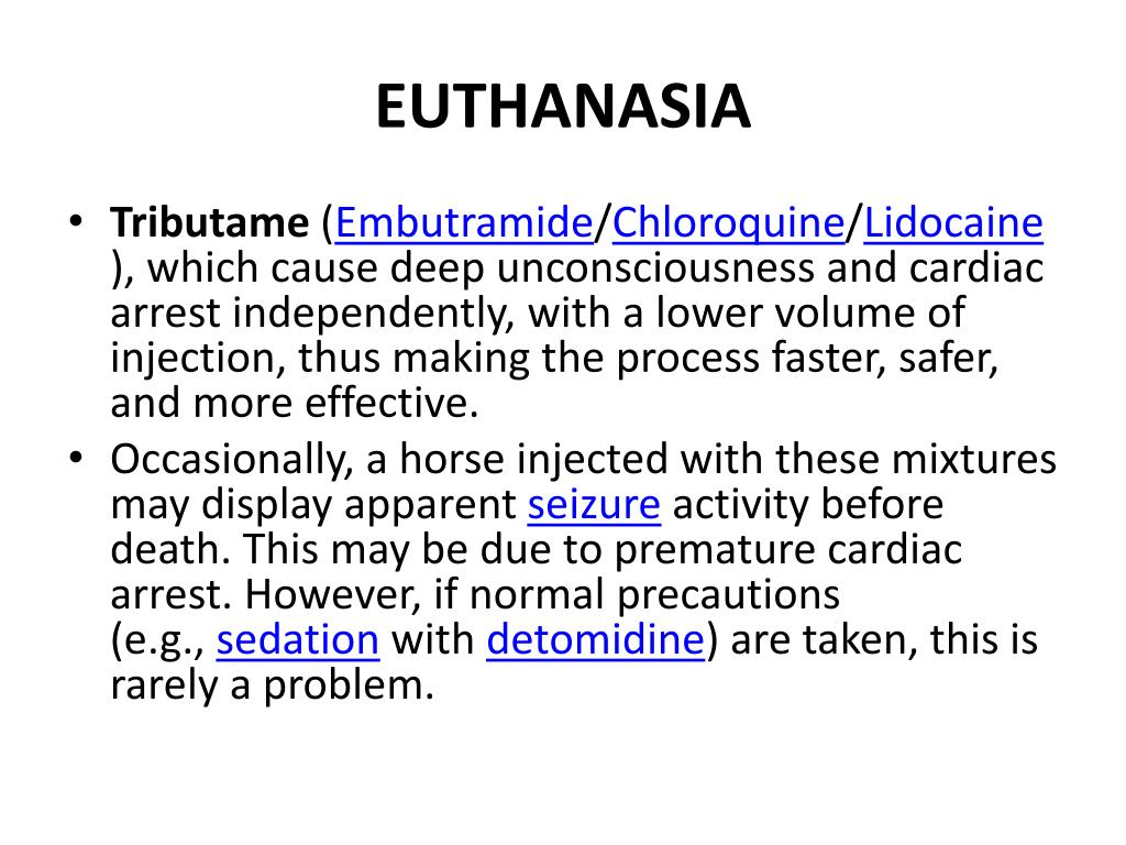 PPT - Principles of Veterinary Medical Ethics of the AVMA PowerPoint ...