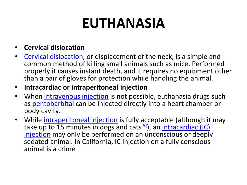 PPT - Principles of Veterinary Medical Ethics of the AVMA PowerPoint ...