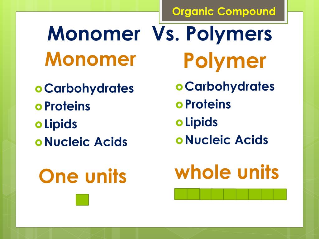 PPT - Academic Biology Mr. Luis A. Velazquez PowerPoint Presentation ...